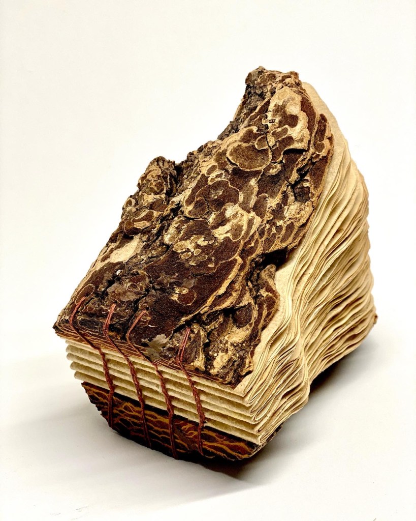 Sointula Book Art Retreat | Debra Frances