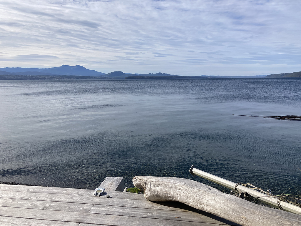 Sointula Book Art Retreat | Debra Frances