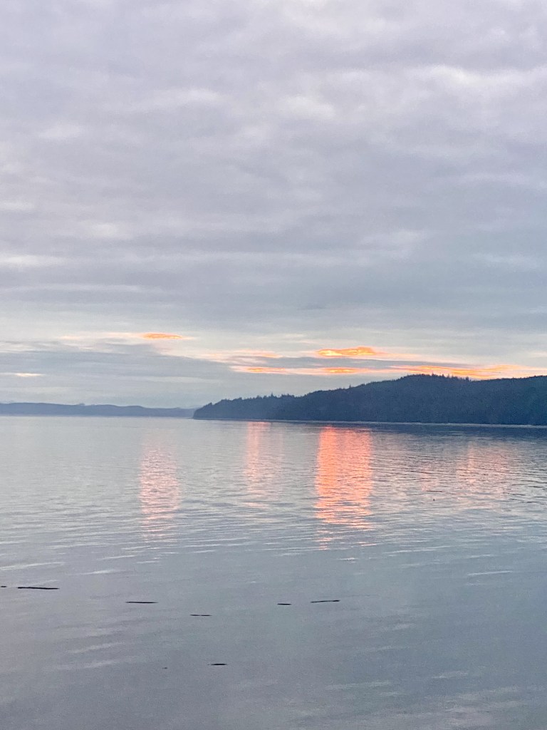 Sointula Book Art Retreat | Debra Frances